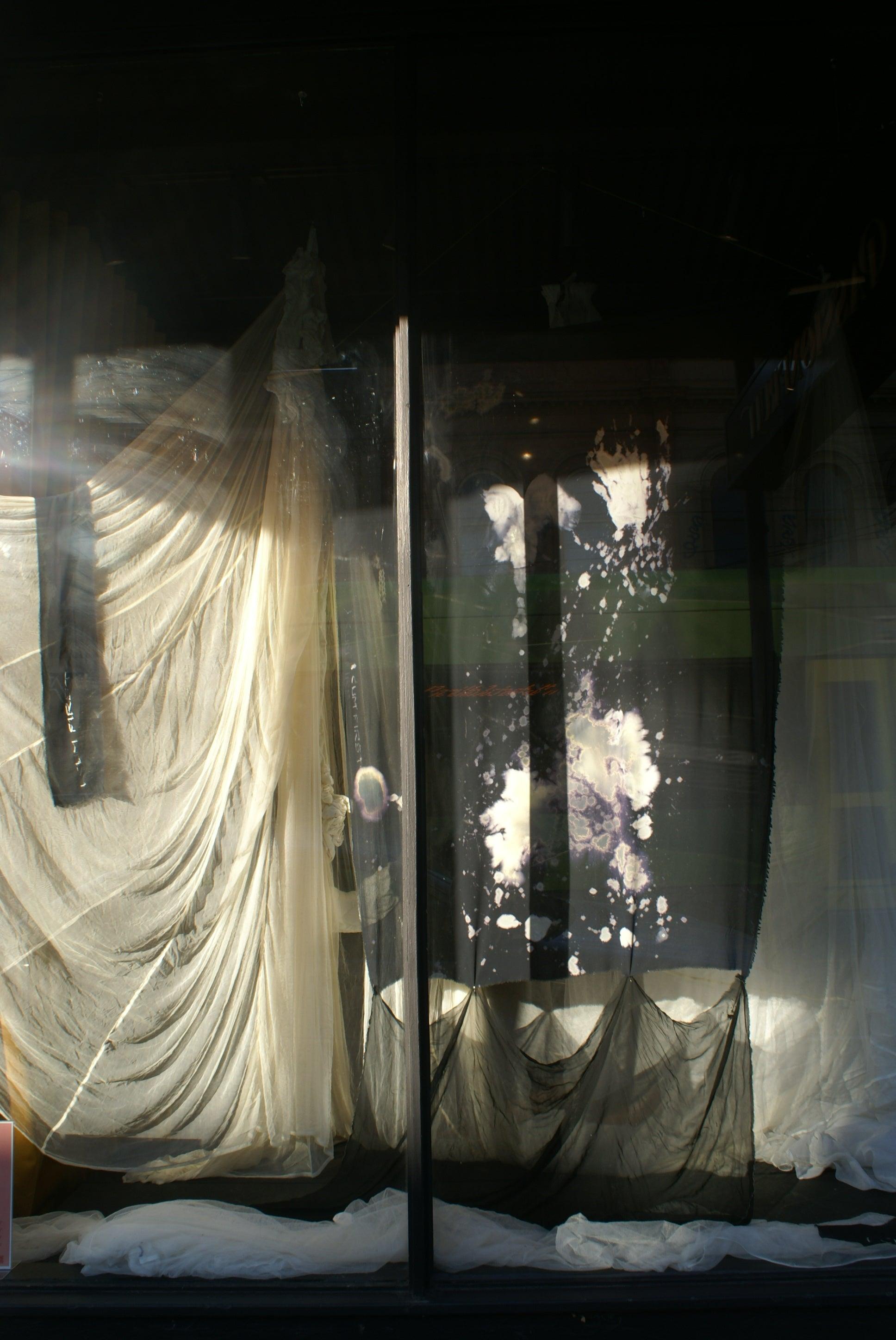 Artist Window Series: “Points Of Contact" by Morus Quin – Passionfruit